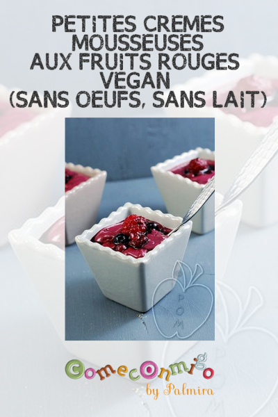 PETITES CRÈMES MOUSSEUSES AUX FRUITS ROUGES VEGAN (SANS OEUFS, SANS ...